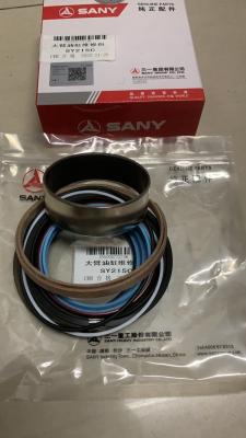 Cina SYG005772738 CYLINDER KIT FOR SANY BOOM SEAL KIT in vendita