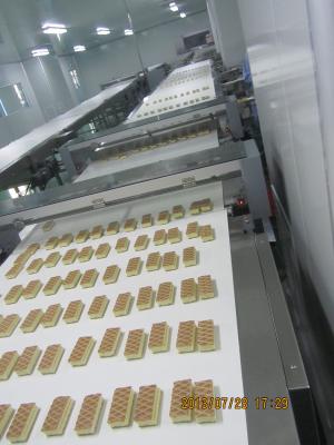 Chine équipement de cuisson de refroidissement de gâteau de couche de feuille du convoyeur 350kg/h de 15m à vendre