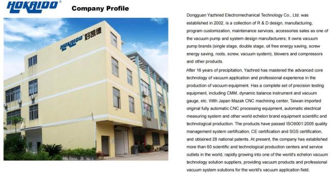 300m3/H Rotary Vane Vacuum Pump