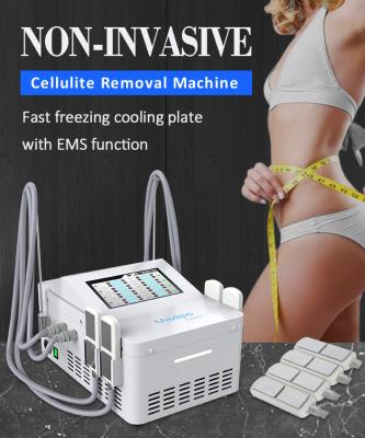 China Corpo de máquina fresco do emagrecimento de 4 Cryo que dá forma à almofada com EMS à venda