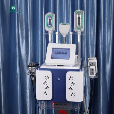 China 360 graus que cercam a máquina do emagrecimento de Lipo, máquina de queimadura gorda do gelo 110V à venda