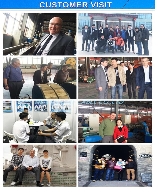 4 Core 16mm2 3X50 1X35 Price List Aerial Bundle ABC Cable Quadruplex Service Drop Cable