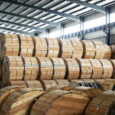 Κίνα Επιθεώρηση τρίτου μέρους αποδεκτό γαλβανισμένο νήμα χάλυβα για την επιβάρυνση των επιβατών προς πώληση