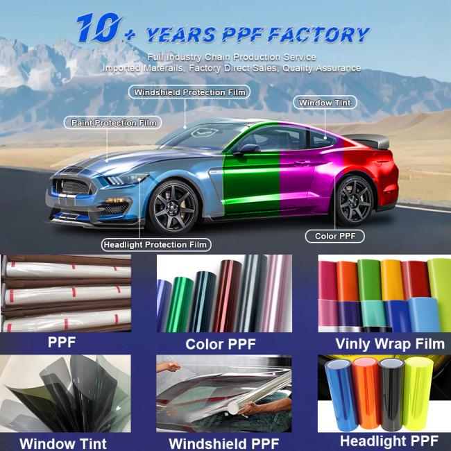 Vehicle with professionally installed window tinting