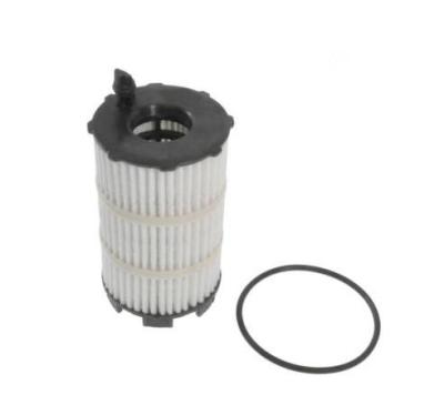 Cina L'OEM ha accettato il filtro dell'olio automatico dell'automobile, filtro da olio per motori 079198405E in vendita