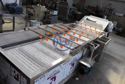 Κίνα Φυτικό πλυντήριο 3.75KW αεροφυσαλίδων όζοντος με το κυκλοφορώντας σύστημα νερού προς πώληση