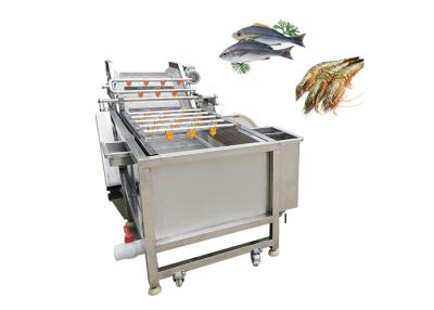 Κίνα Πλυντήριο μάγκο σταφίδων 500kg/h τσίλι φυσαλίδων όζοντος προς πώληση