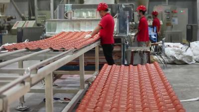 Cina il tetto economico di resistenza agli'agenti atmosferici copre lo strato di plastica del tetto della resina sintetica dell'asa in vendita
