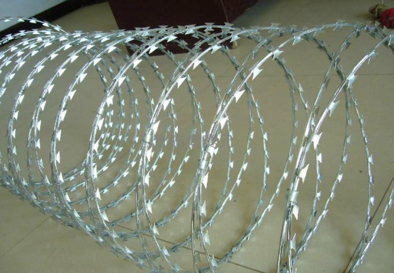 Verified China supplier - SHIJIAZHUANG DUINUO INDUSTRY AND TRADE CO.,LTD.