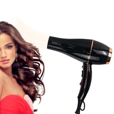 Cina Essiccatore del colpo di qualità del salone di Antifrizz Multiscene una velocità regolabile riutilizzabile di 220 volt in vendita