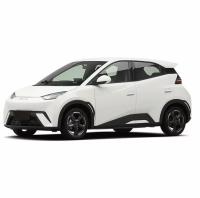 Quality BYD Seagull Flying 2024 The Innovative Electric SUV for Energy Vehicles Suppliers for sale