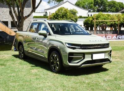 중국 2024 지일리 RD6 전기 픽업 트럭 4x4 63kWh 86kWh 배터리 550km 장거리 EV 트럭 판매용