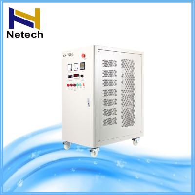 China 40g 100g Waterozonator/de Hoge Generator van het Outputozon voor Zwembad Te koop