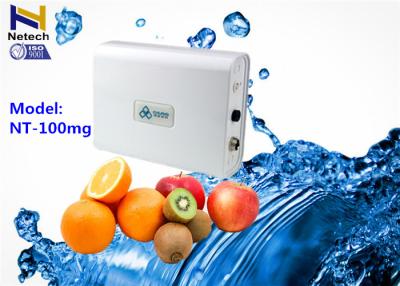 Cina ozonizzatore acqua aria inodore dello sterilizzatore del generatore 110V dell'ozono dell'ortaggio da frutto 100mg in vendita