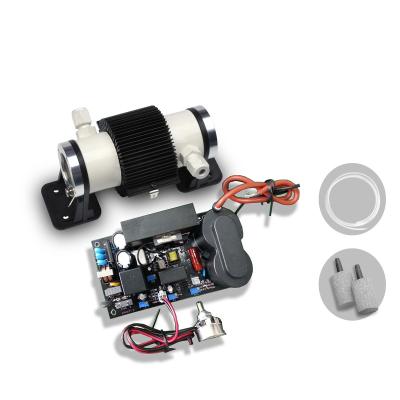 Cina 3g to 7g air cooling ozone generator parts ozone tube with power supply in vendita