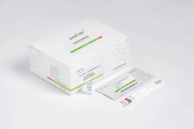 Cina amiloide del siero 5-200mg/L un il corredo rapido della prova di CRP un'infezione infantile di 3 minuti in vendita