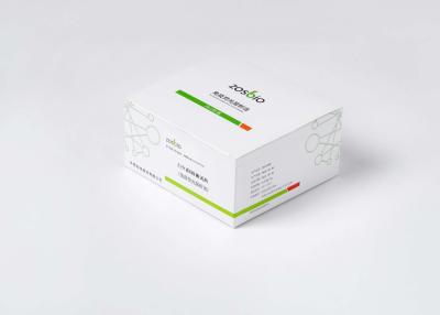 Cina Prova rapida Kit Acute Infection Diagnosing di interleuchina 6 CRP in vendita