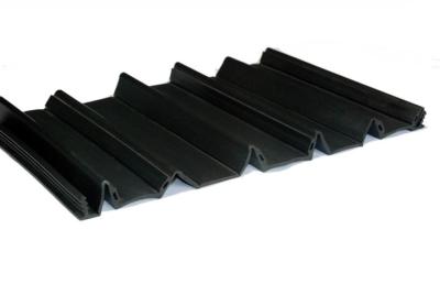 China Geëxtrudeerde EPDM Solid of thermoplastisch Rubber afdichting gebouw dilatatievoeg Seal Te koop