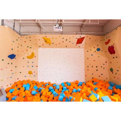 中国 Bouldering Adult Climbing Wall Adult Bouldering Wall Rock Climbing Wall 販売のため