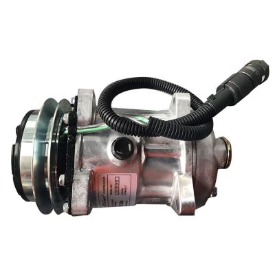 Cina 1251063 auto ac Compressor air conditioning compressor in vendita