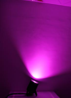 China MAZORCA de alta calidad in-1 LED de la luz 150W RGBW 4 del par de la etapa del CE LED de China en venta
