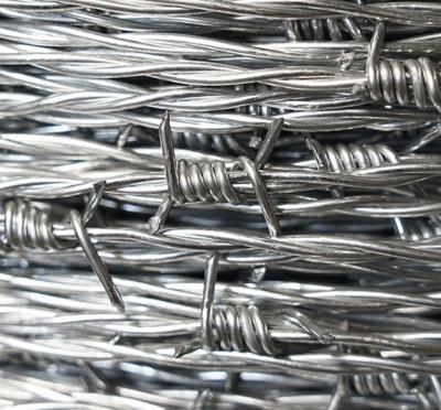 Factory Hot Dipped Galvanized Barb Wire Fencing Coil Roll Barbed Wire