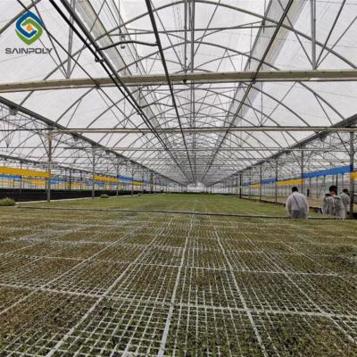 Κίνα Γαλβανισμένος χάλυβας 0.15mm θερμοκήπιο ταινιών πολυαιθυλενίου προς πώληση