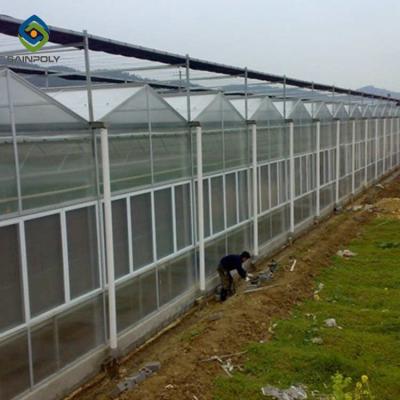 Κίνα Έκταση 9.6m Mulit γαλβανισμένο εμπορικό θερμοκήπιο γυαλιού προς πώληση