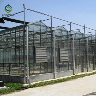 Κίνα Έκταση 9.6m Mulit γαλβανισμένο εμπορικό θερμοκήπιο γυαλιού προς πώληση