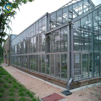 Κίνα 6m φυτική πολυ έκταση θερμοκηπίων γυαλιού εγκαταστάσεων εμπορική ερμητική προς πώληση