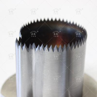 중국 효율적인 금속 작업 작업에 대한 전문 수준의 펀치 블레이드 판매용