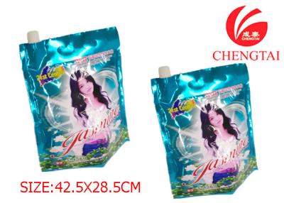 Cina Il rotocalco che stampa Packaigng sta sul sacchetto con il becco per il detersivo in vendita