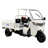 Quality Standard Size 3 Wheel Gasoline 200cc/250cc/300cc Motorcycle Engine Cabin Cargo Tricycle for sale