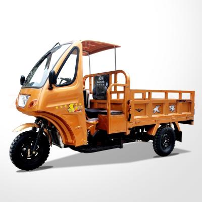 Cina Tricicli a benzina a tre ruote a motore per adulti a progettazione chiusa Velocità massima ≥ 70 km/h in vendita