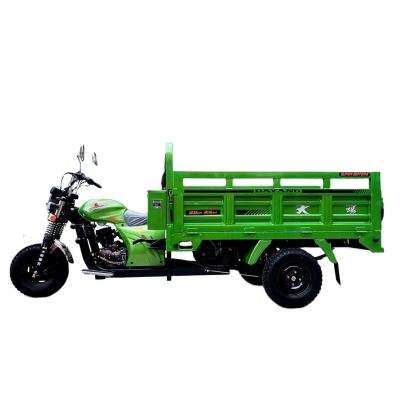 Cina Motore da 175cc potenza da 800 W DAYANG Motociclette a tre ruote per il mercato globale in vendita