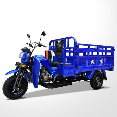 Cina DAYANG Triciclo da carico pesante 175CC/200CC/250CC Q2 Tricicli da carico per la consegna di merci in vendita