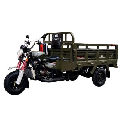 Cina DAYANG Motorized Tricycle Cargo Tricycle Motorcycle a tre ruote con sistema batteria 12V in vendita