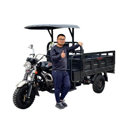 Cina DAYANG Prince Grey Motorized Tricycles con motore da 200 cc e capacità di carico da 1000 kg in vendita