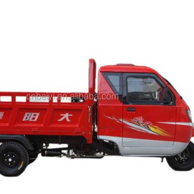 China Carga elétrica fechada Triciclo Trike Trike Bike para requisitos do cliente à venda