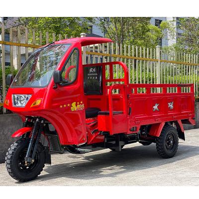 China Tipo de carroceria fechada Triciclo de carga motorizado de aço DAYANG tambor gasolina resfriado a água 200cc/250cc/300cc à venda