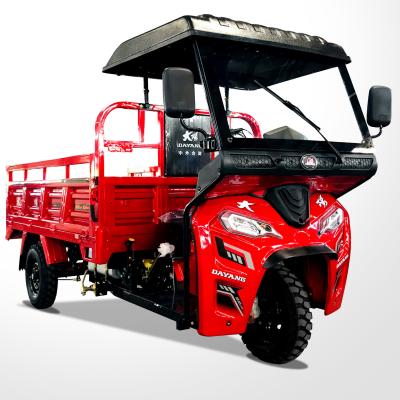 China DAYANG 300CC Motor de três rodas Motor refrigerado a água e gasolina Tipo de combustível à venda