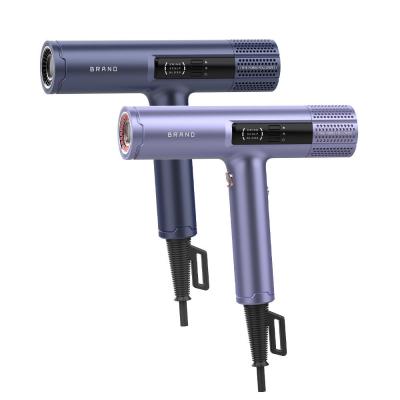 Cina Regolazioni negative sfrondate di velocità del motore 2 di Ion High Speed Hair Dryer BLDC in vendita