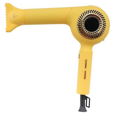 Cina Fon giallo dell'ugello del diffusore di Microfilter del fon di 1600W Bldc in vendita