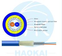 Quality Flame Retardant Jacket Indoor Optical Cable Armored Fiber Optic Cable GJSJV for sale