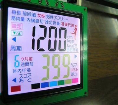 China FSC módulo LCD personalizable 12H Negativo Negro Campo transmisor secuencial de color Winstar en venta