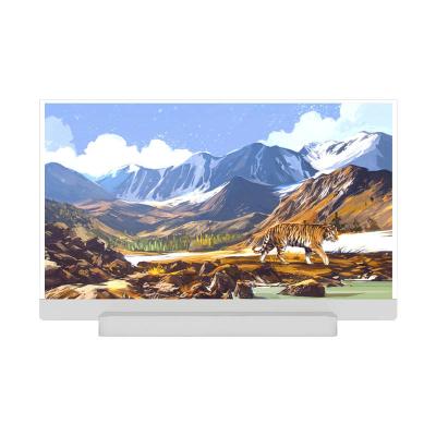 China AMOLED LTPS 5.55' 720*1280 RGB MIPI Schnittstelle SH1386 LCD-Modul für intelligente Geräte zu verkaufen
