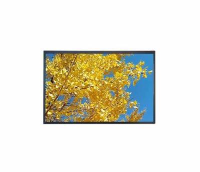 China 10.1' 1920*1080 TFT FHD módulo LCD con estándar táctil en venta