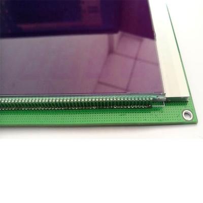 Cina Esposizione LCD positiva di Tn dell'esposizione monocromatica del grafico del pannello dello schermo dell'erogatore del combustibile in vendita