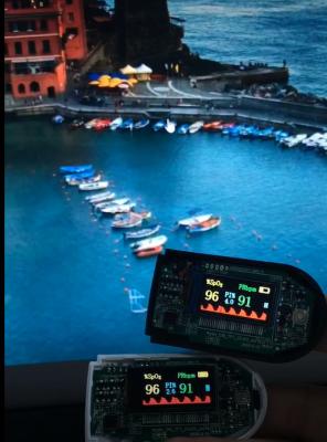 China 0,96" la exhibición 4W SPI 80×160 de Tft Lcd puntea 13 Pin Nv 3022b FSTN transmisivo en venta