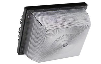 中国 UL LED の屋外のおおいはフィリップス Lumileds との 60w 5000k IP65 をつけます 販売のため